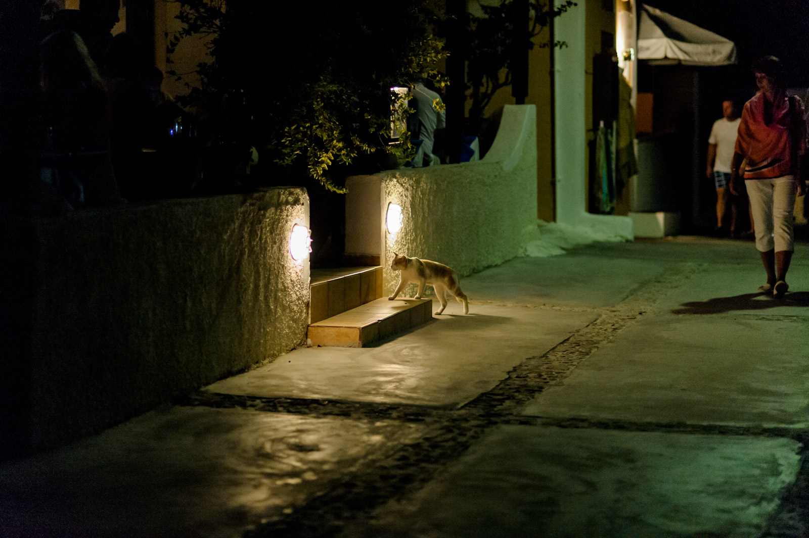 Santorini Photo Gallery | macrogallery.com